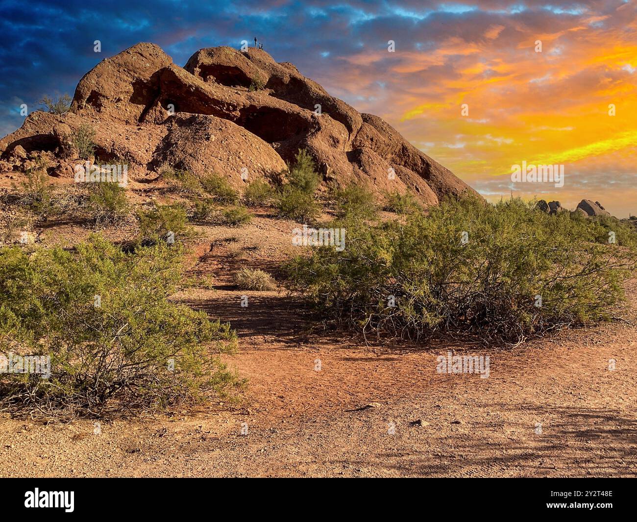 Sunset, Papago Park, Sonoran Desert, Arizona Stock Photo - Alamy