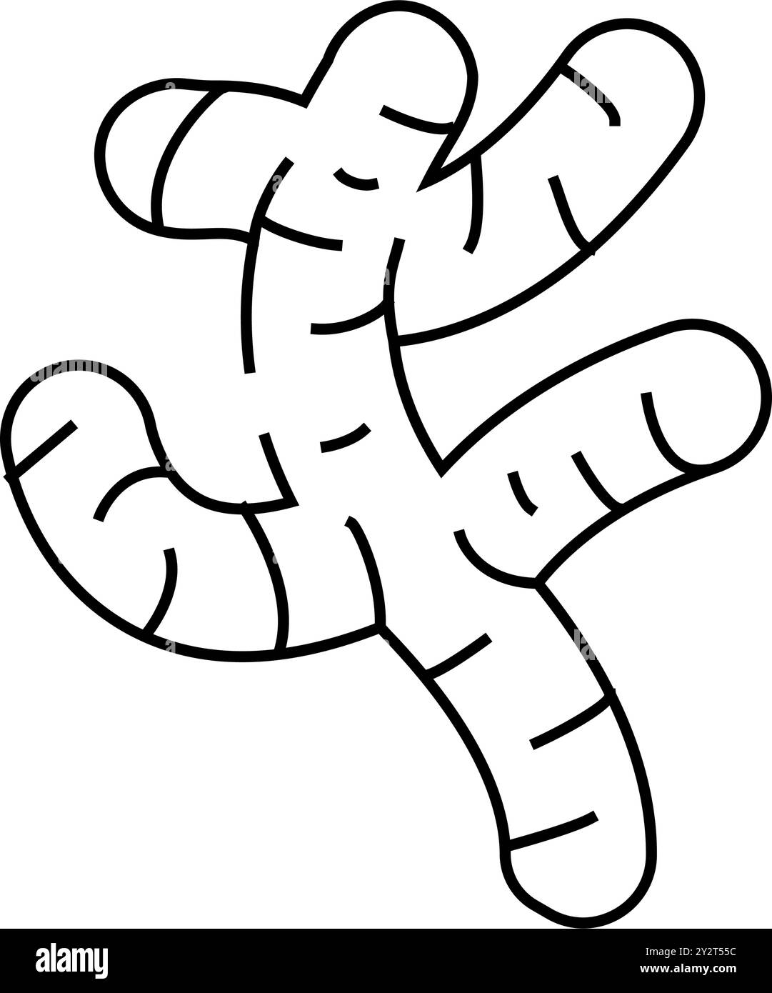 ginger root line icon vector illustration Stock Vector Image & Art - Alamy