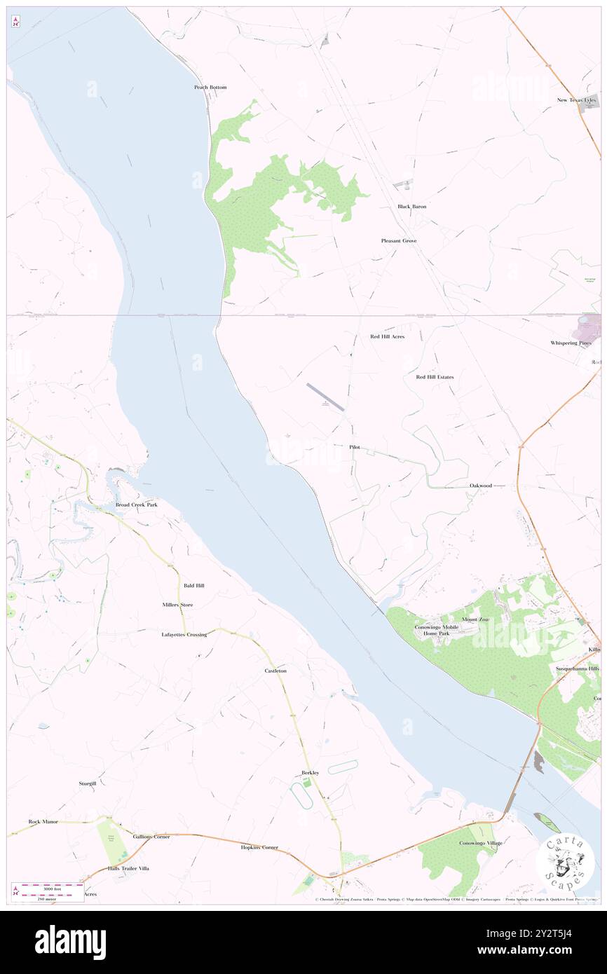 Bald friar historical hi-res stock photography and images - Alamy