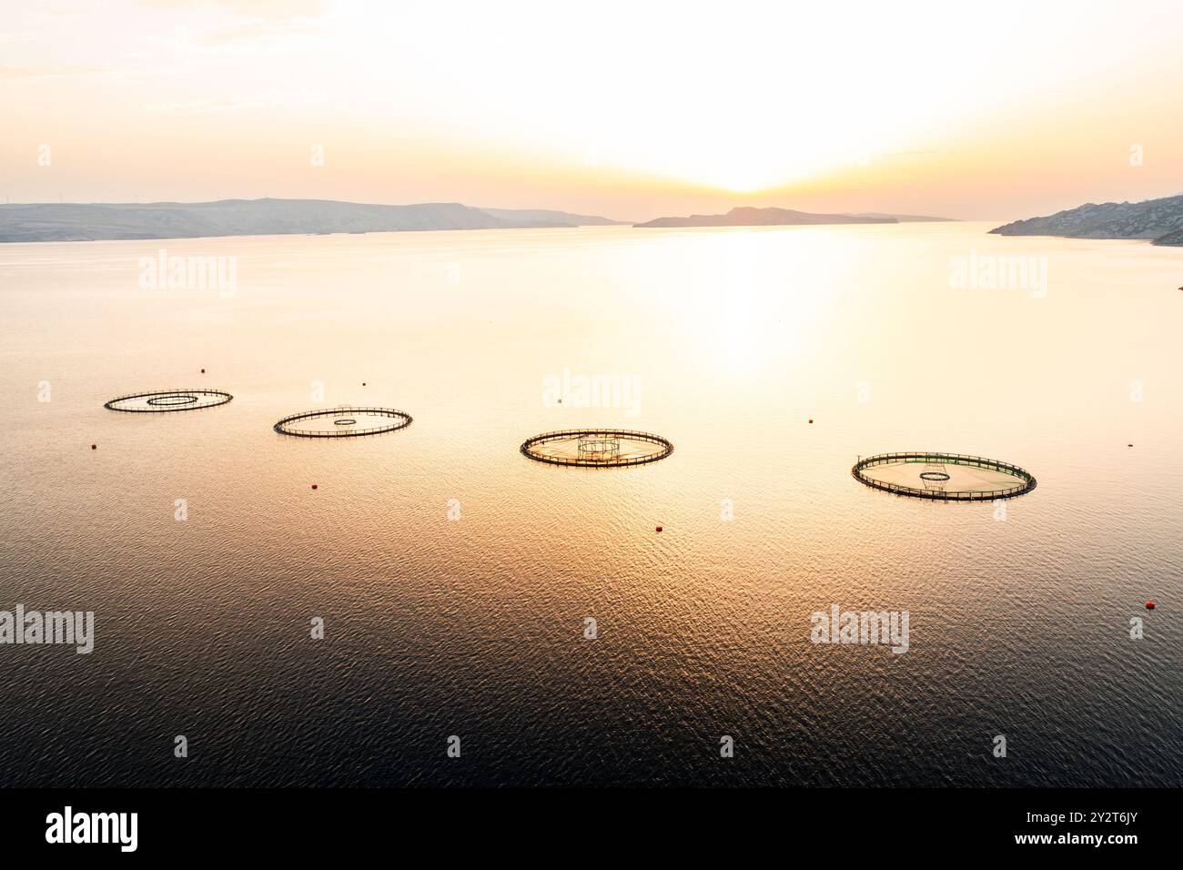 Modern fish breeding in Croatia sea farms at sunset drone. Secure ...
