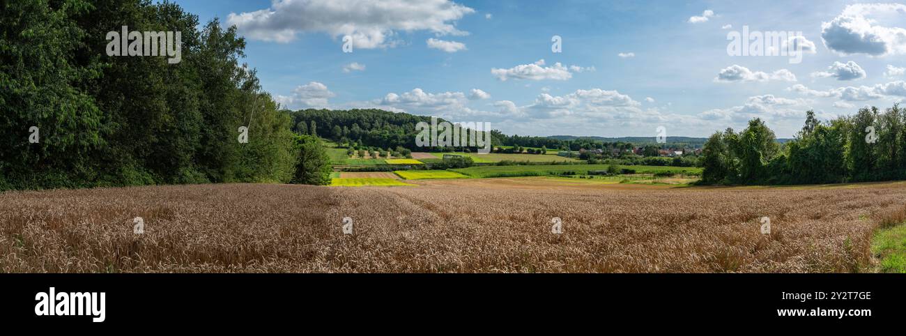 Colorful hills and agriculture fields with vineyards at the Hageland ...