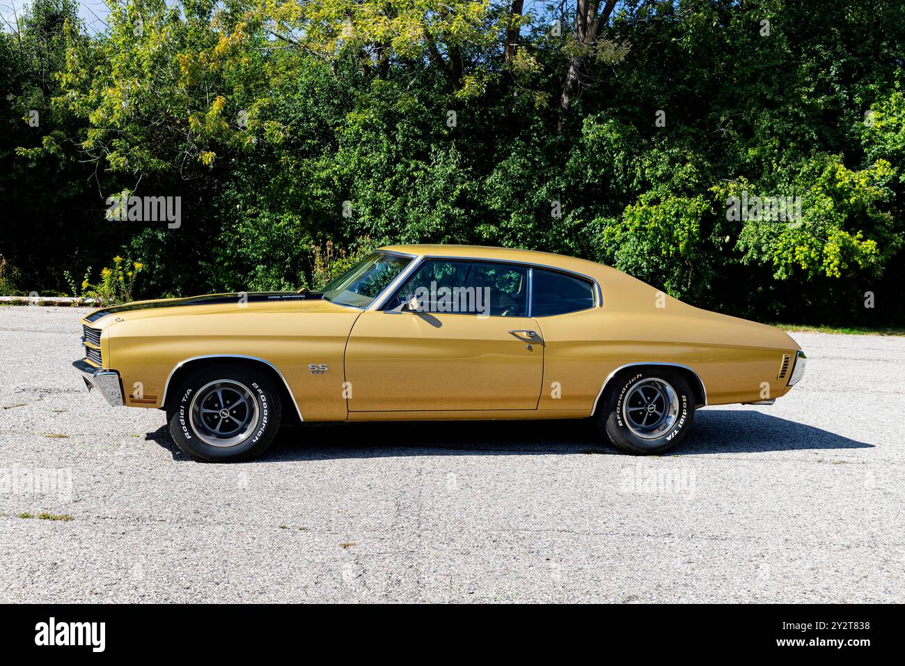 1970 Chevrolet Chevelle SS 396 on pavement Stock Photo - Alamy