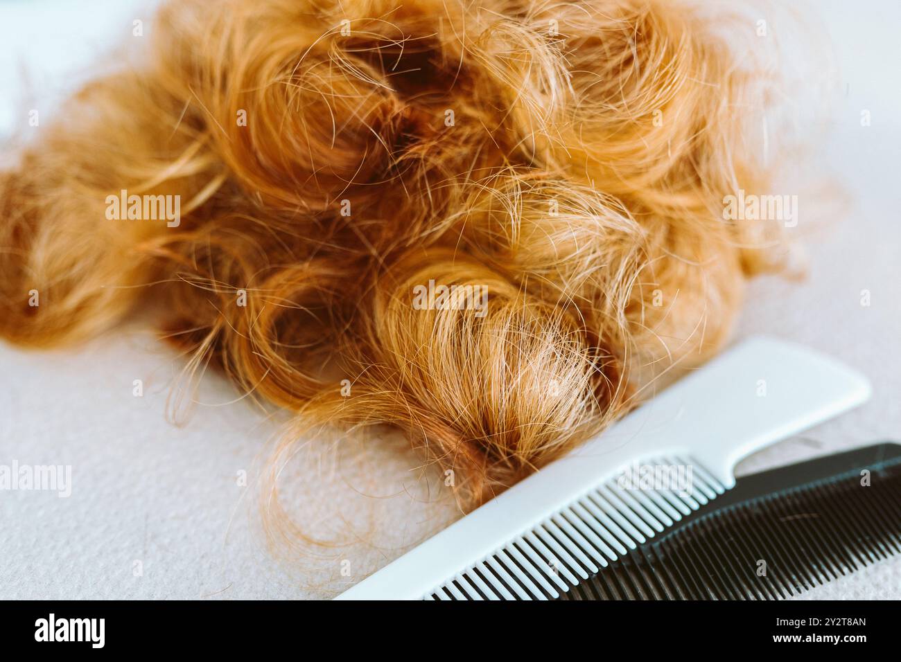 Scalp locks hi-res stock photography and images - Alamy