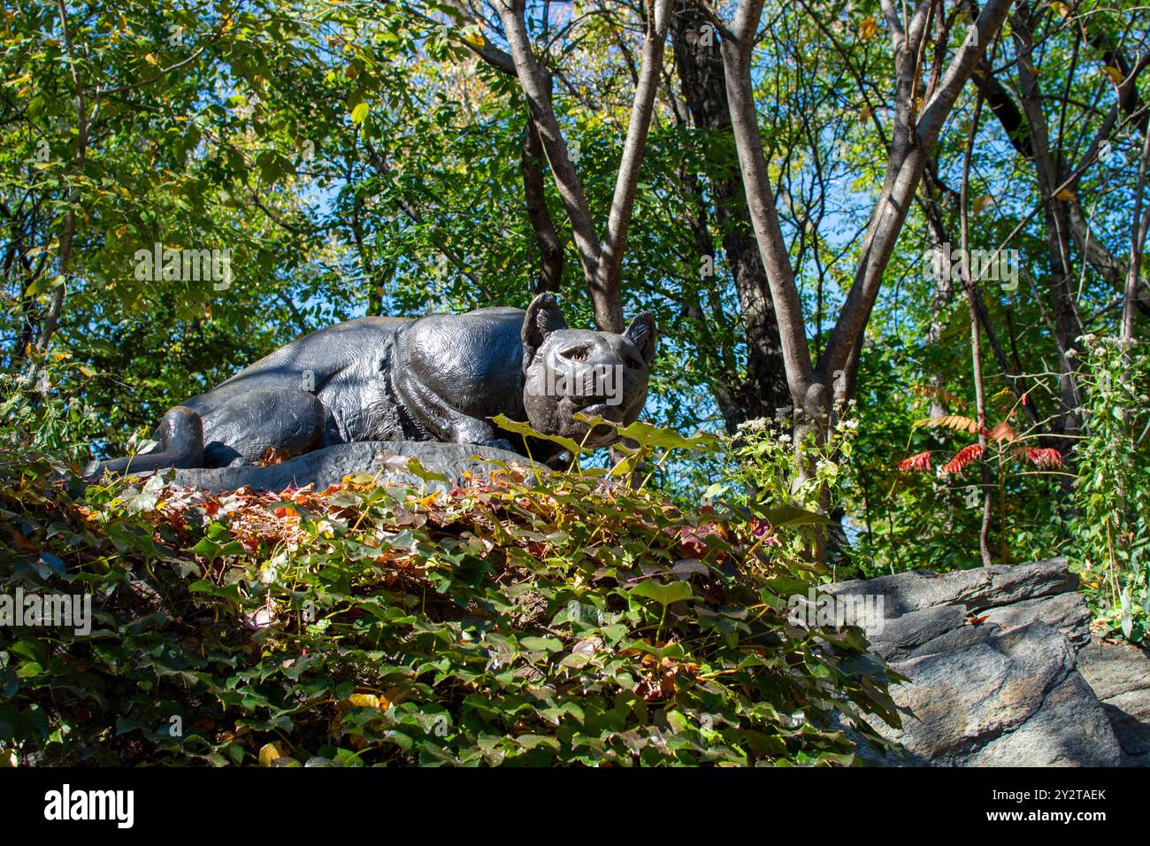 A bronze statue of a panther surrounded by lush greenery in Central ...