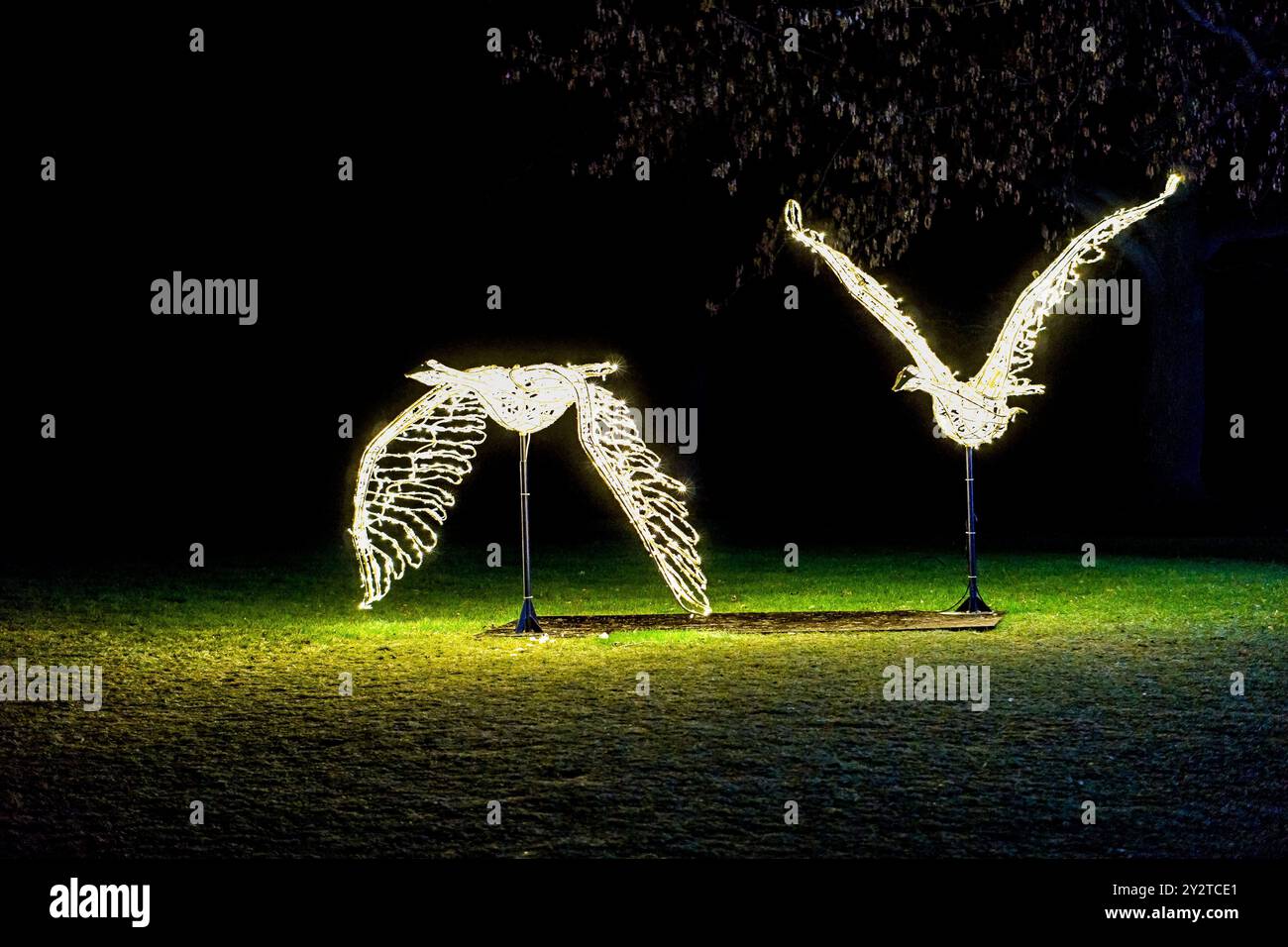 Illuminated bird sculptures glowing in the dark, set on a grassy field ...