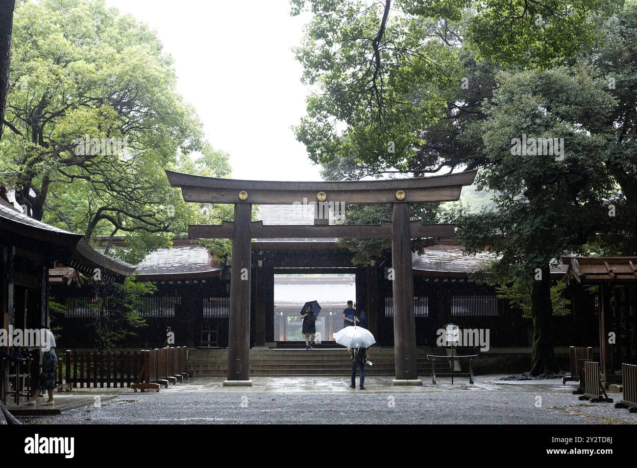 Meiji shrine, Tokyo, Japan Stock Photo - Alamy