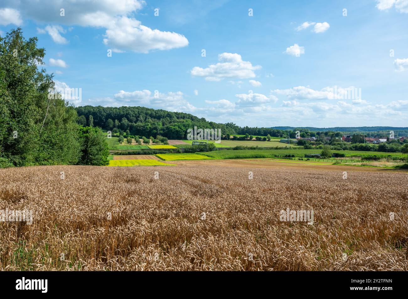 Colorful hills and agriculture fields with vineyards at the Hageland ...