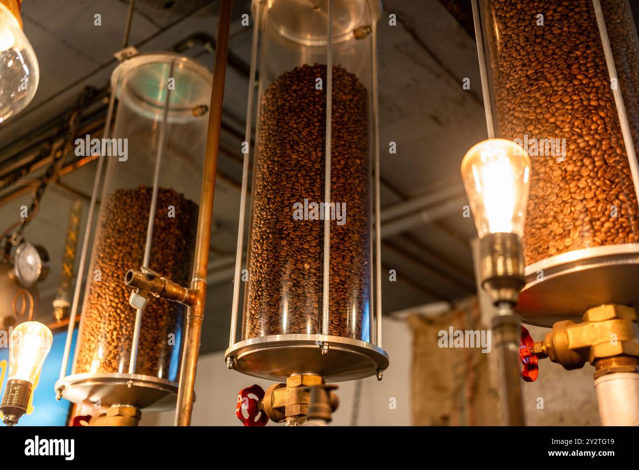 Vertical cylindrical containers filled with roasted coffee beans in a ...