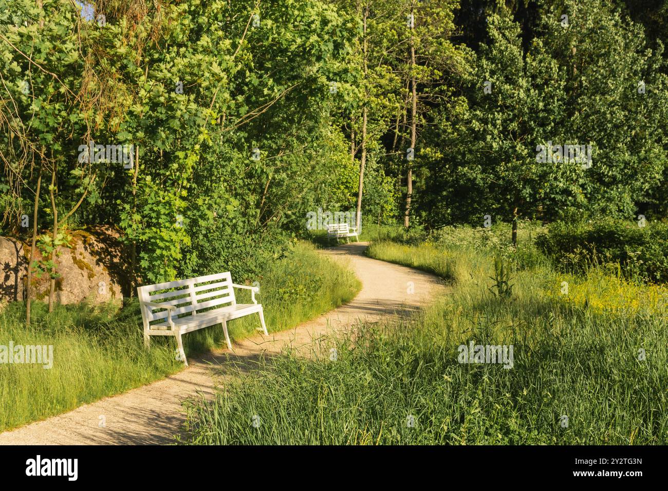 ground path and vintage benches in the park Stock Photo - Alamy