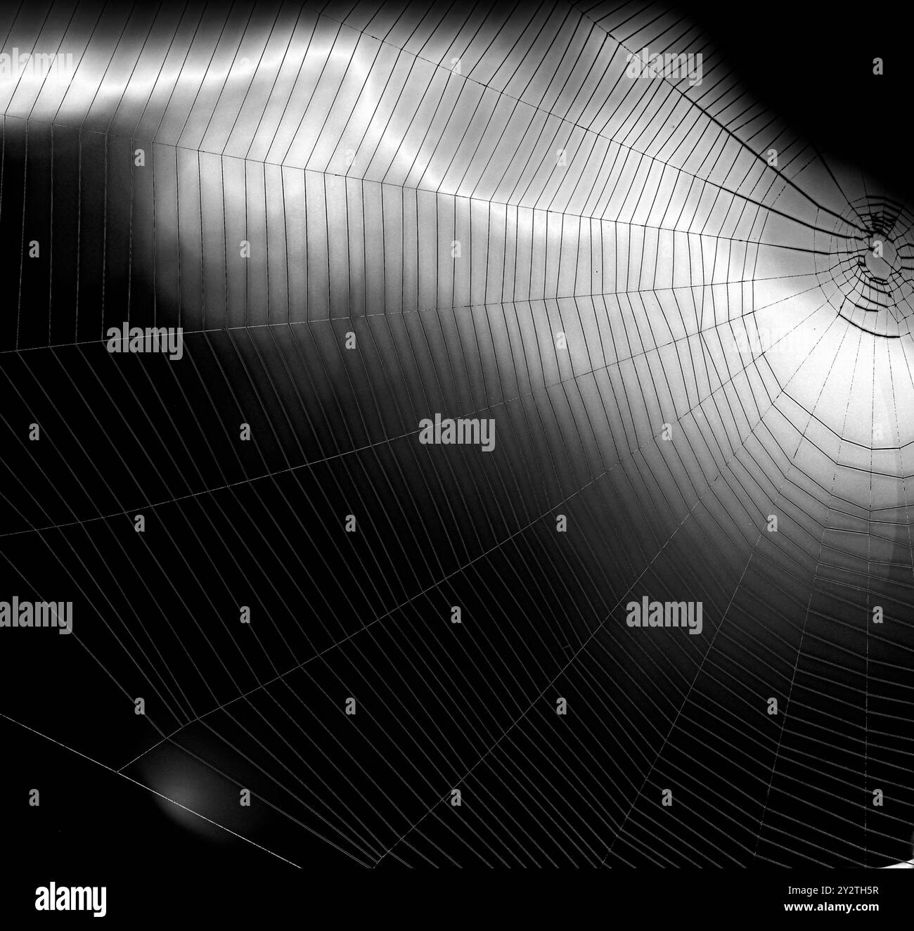 Black and white close-up of a spider web with light and shadow creating ...