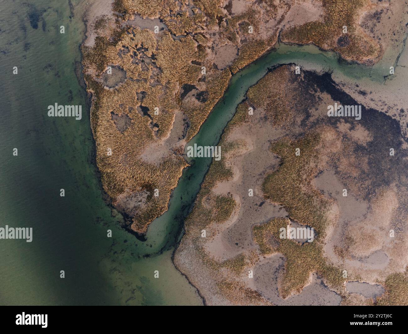 Aerial view of a marshland with patches of water and vegetation ...