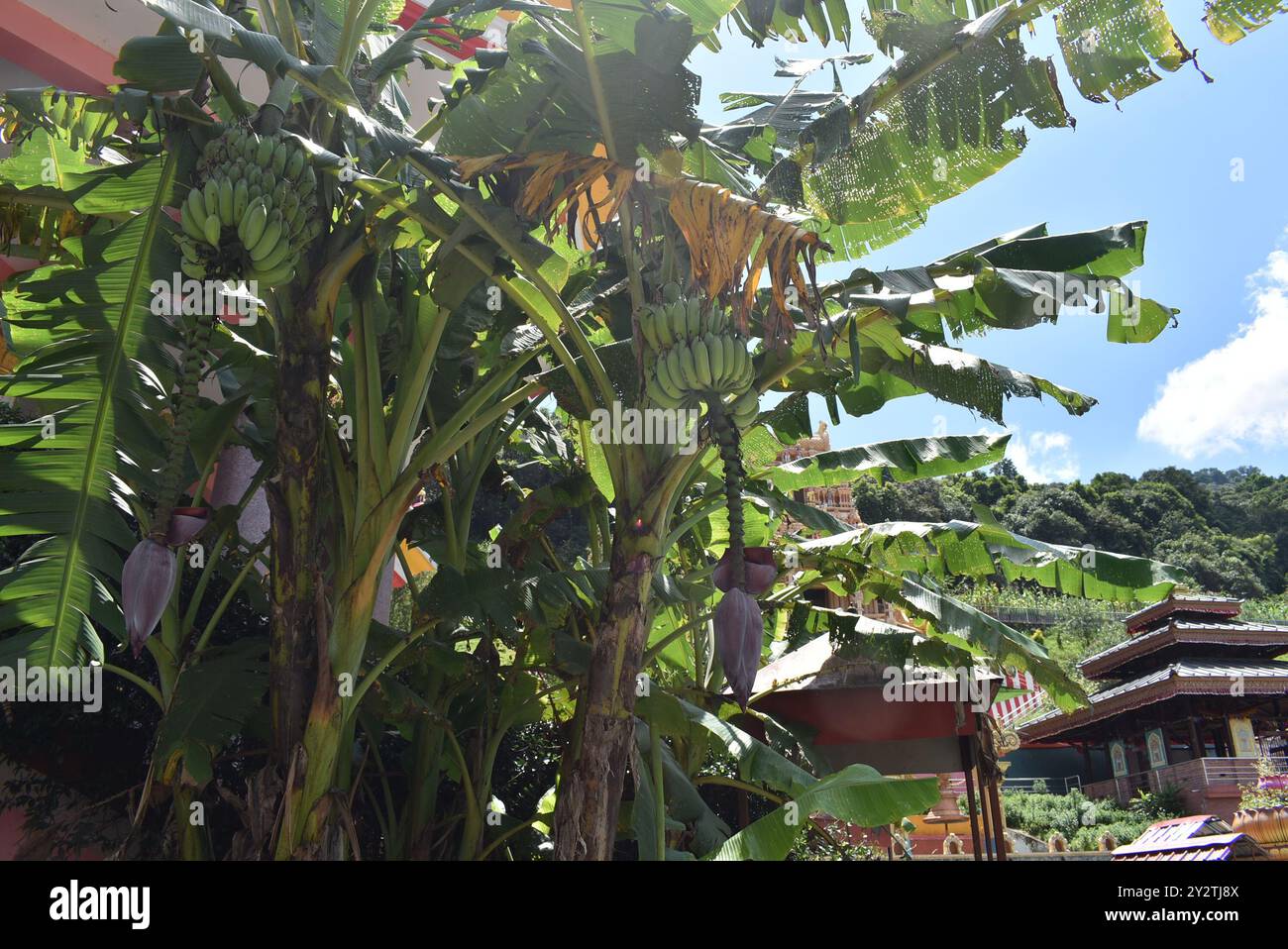 Shree Pancha Mahalaxmi Temple - Viral Temple in Sankhu - Hindu temple ...