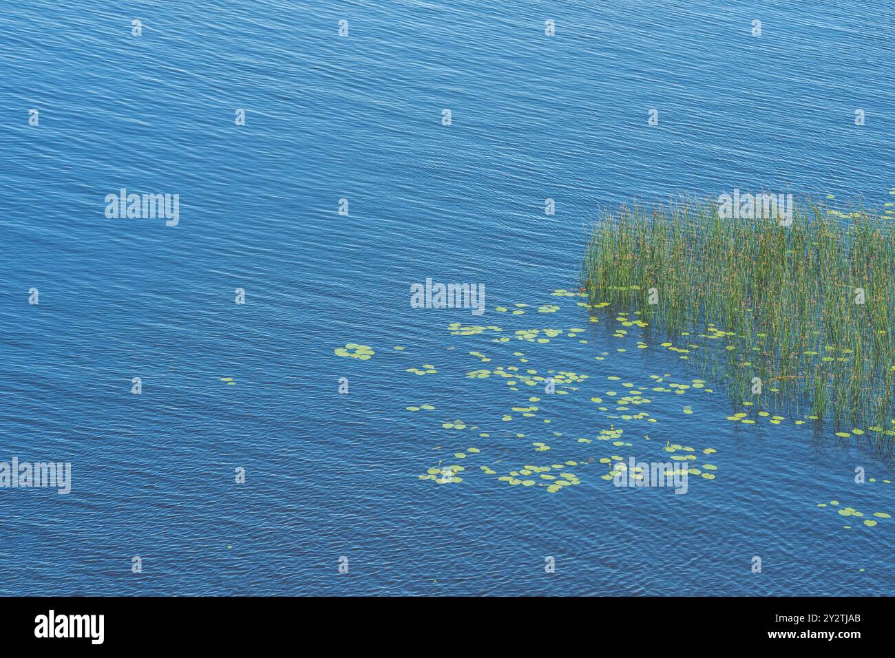 Natural waterscape shallow bay hi-res stock photography and images - Alamy