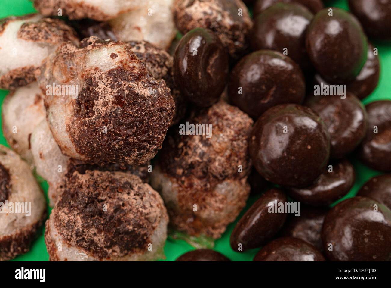 Crunchy Freeze Dried Chocolate Covered Cream Filled Mint Candy on a ...