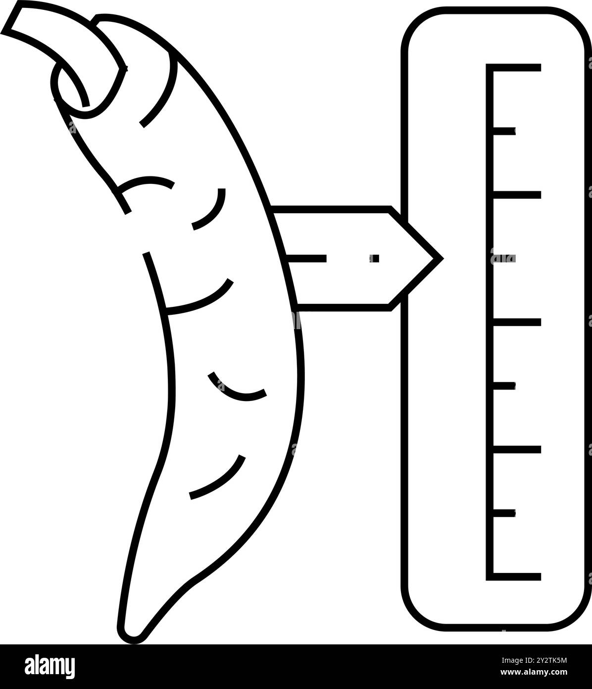 cayenne pepper spice scale line icon vector illustration Stock Vector ...