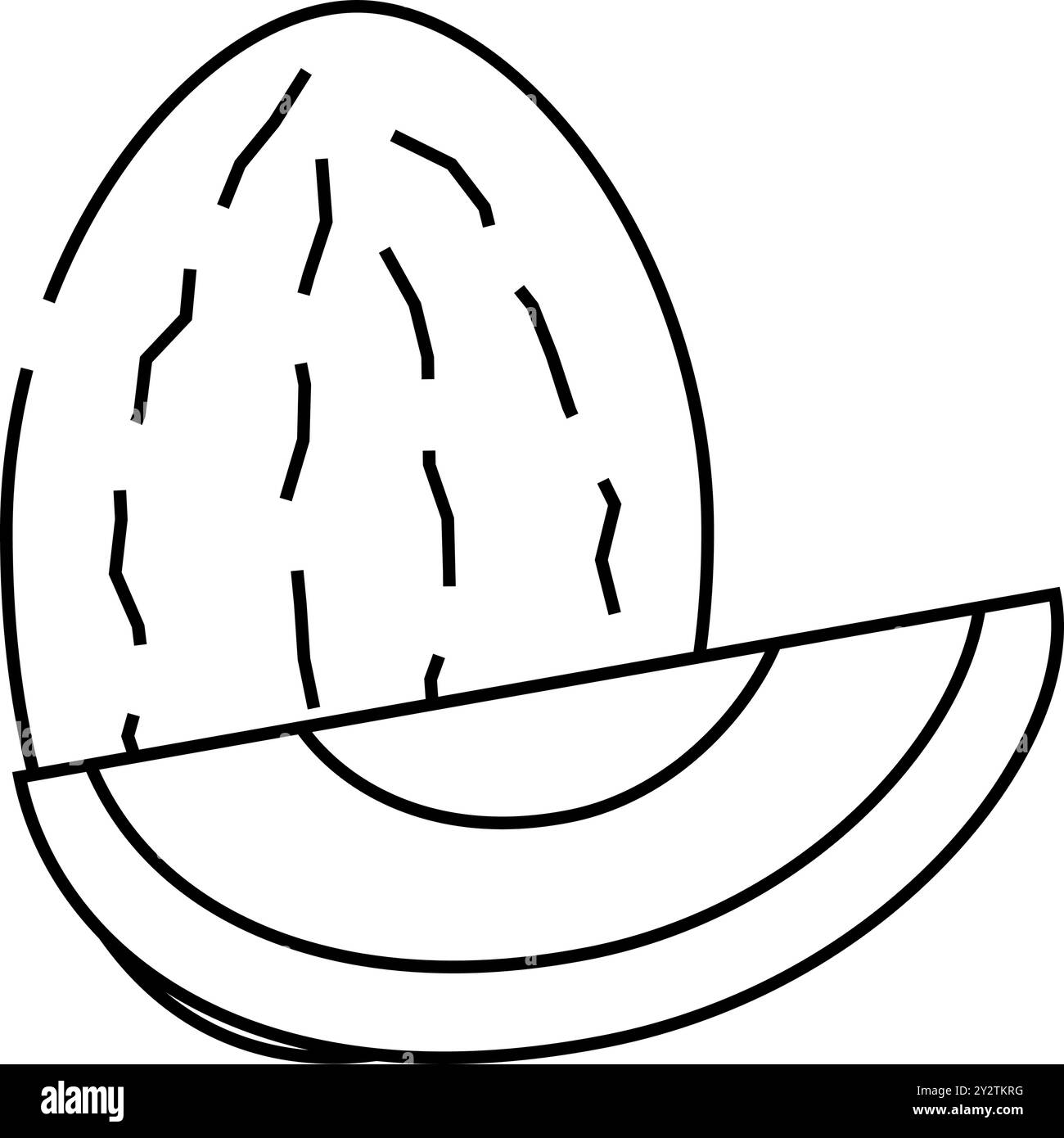 melon fruit line icon vector illustration Stock Vector Image & Art - Alamy