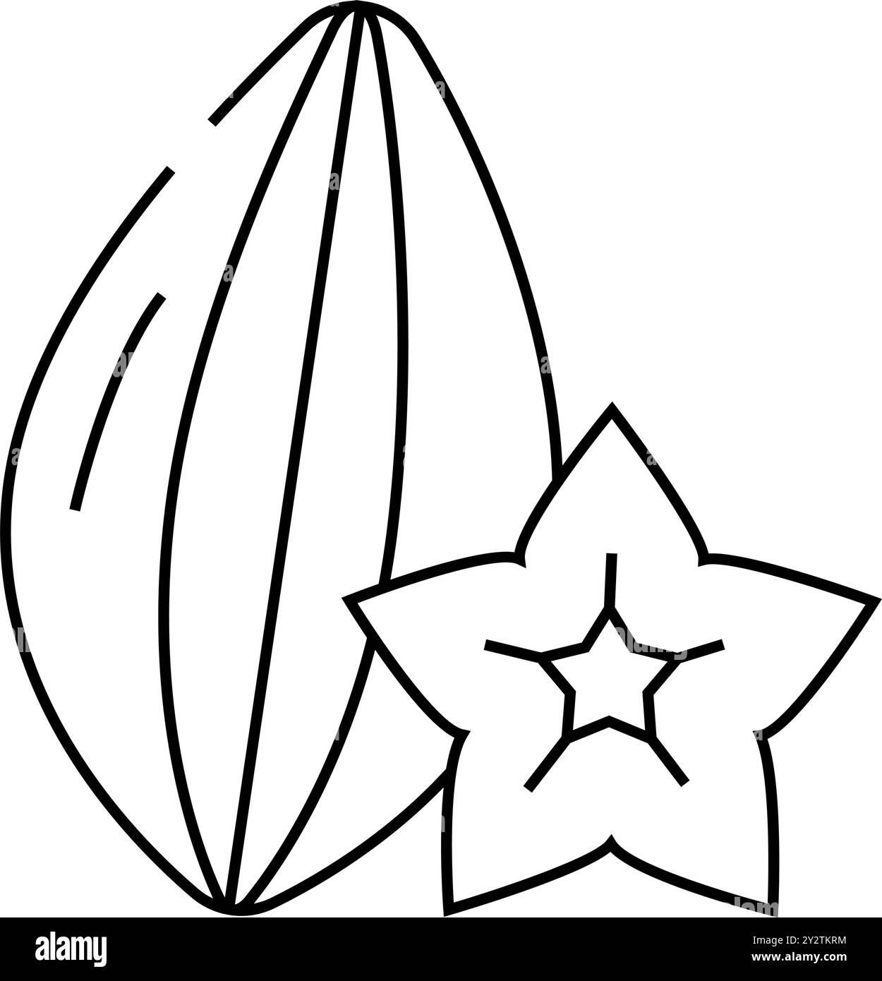 Custard apple vector illustration Black and White Stock Photos & Images ...