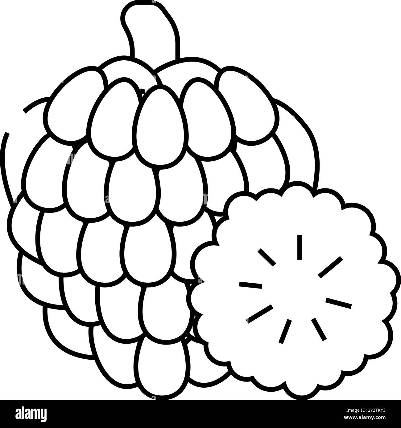 Custard apple Black and White Stock Photos & Images - Alamy