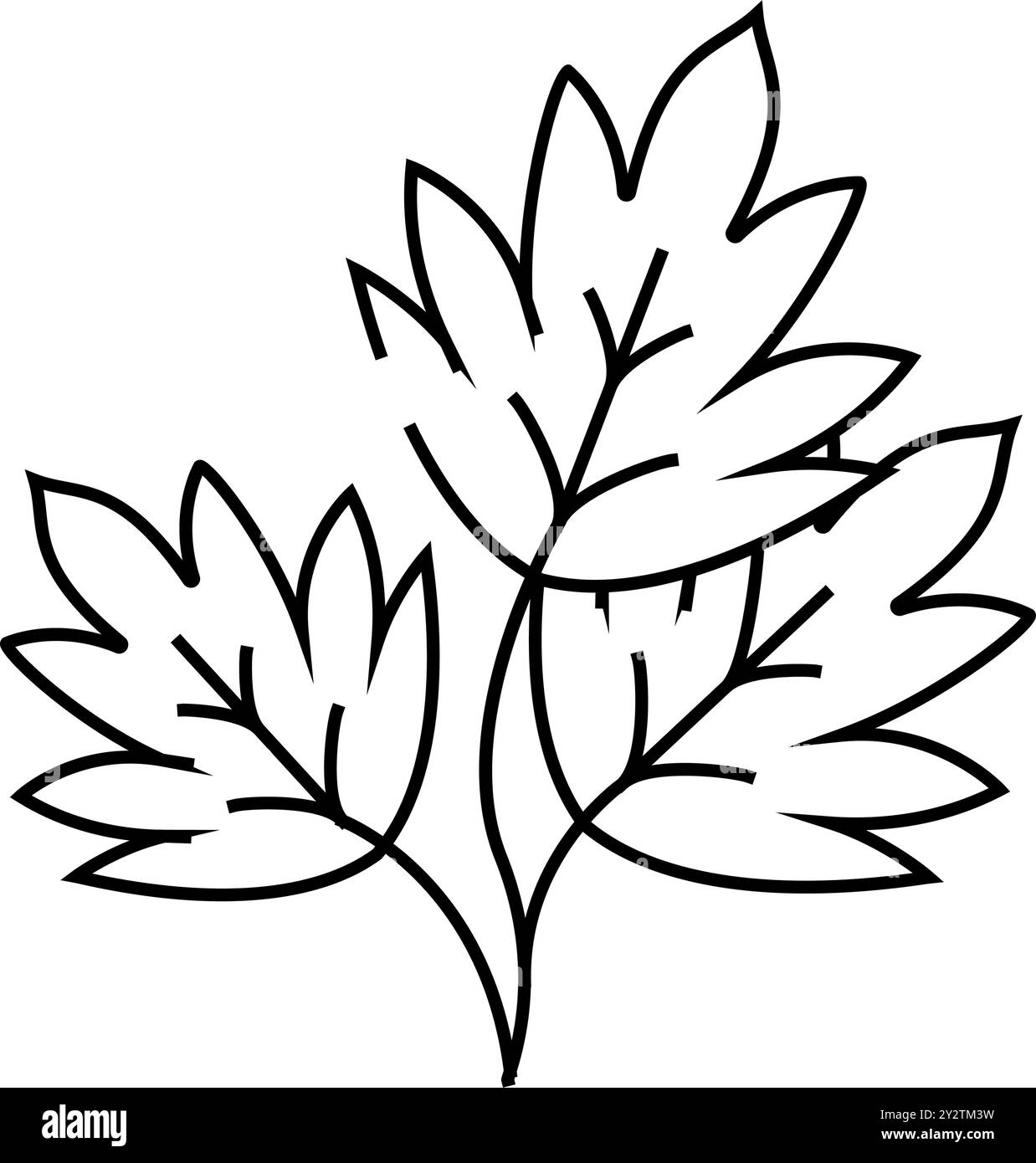 parsley leaves line icon vector illustration Stock Vector Image & Art ...