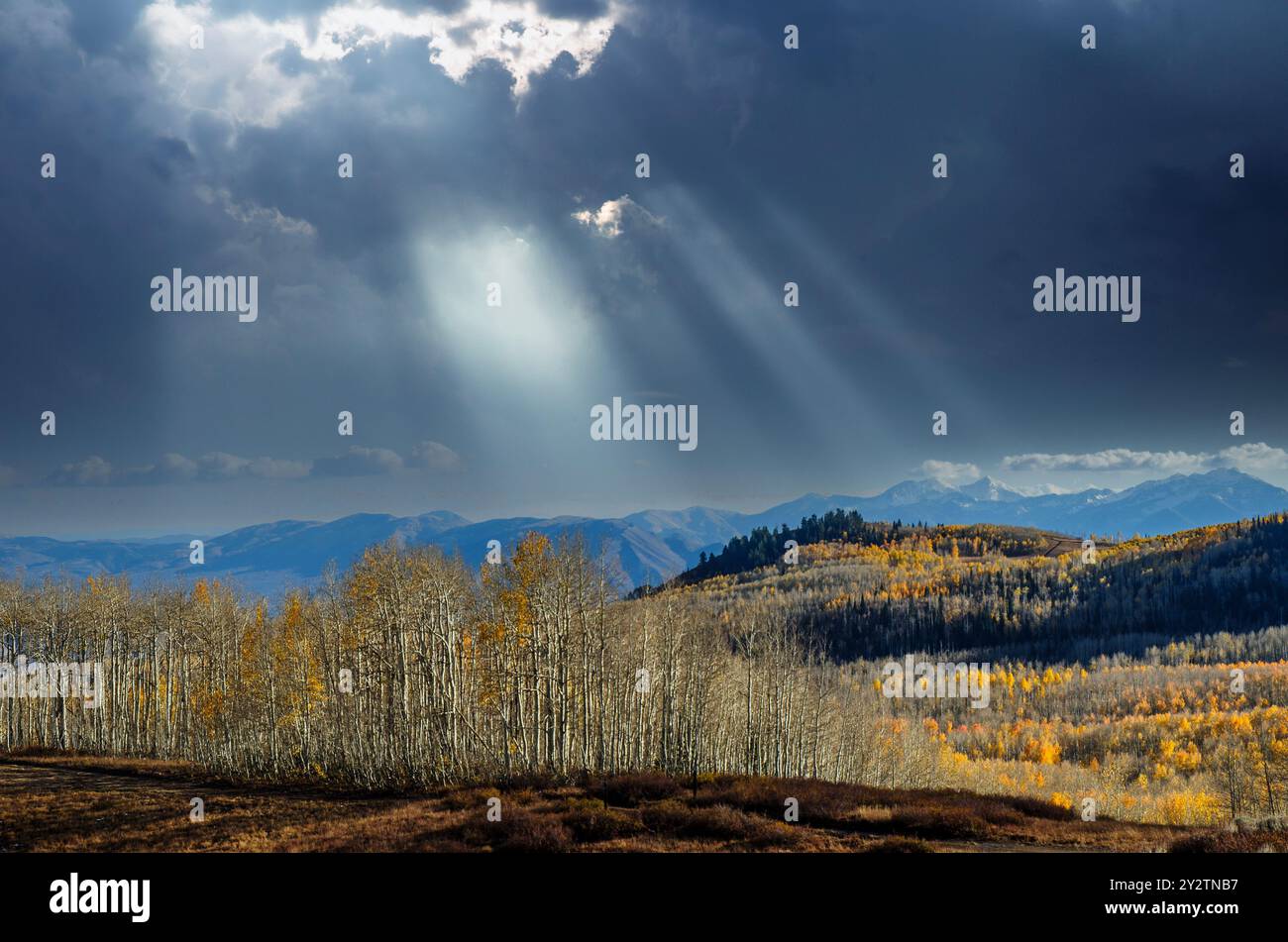 Park City, Utah Autumn View of the Guardsman Pass with Aspens at Peak ...