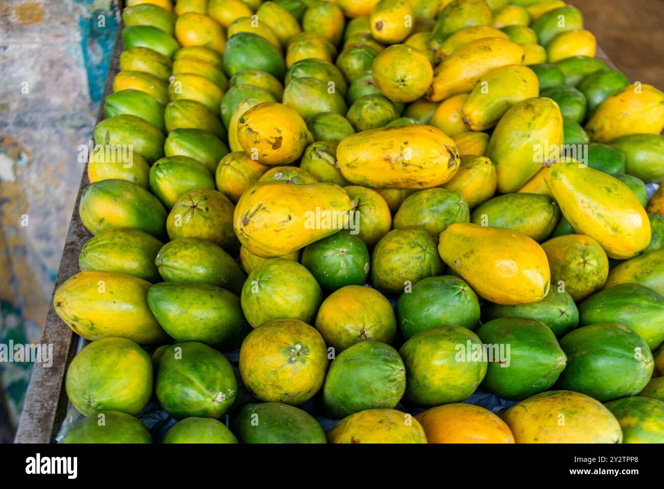 A close-up view of a variety of ripe and unripe papayas on a market ...