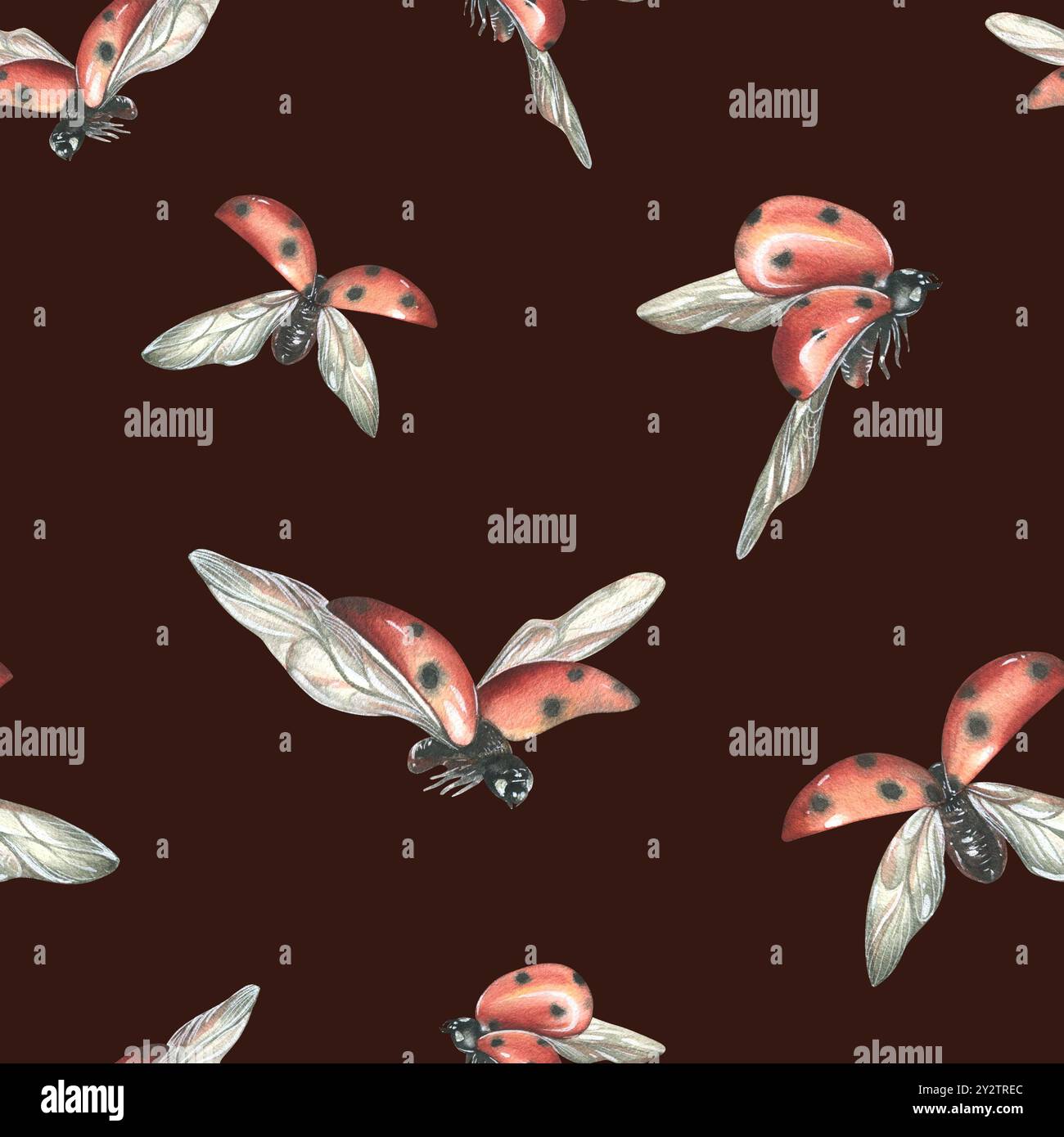 Red ladybugs with black dots flying. Hand drawn watercolor illustration ...