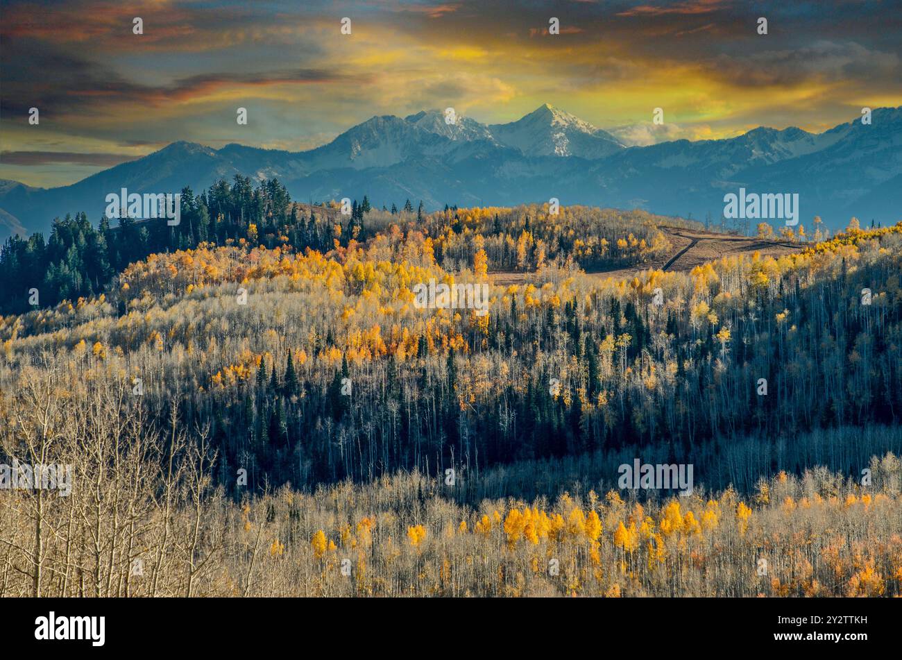 Park City, Utah Autumn View of the Guardsman Pass with Aspens at Peak ...