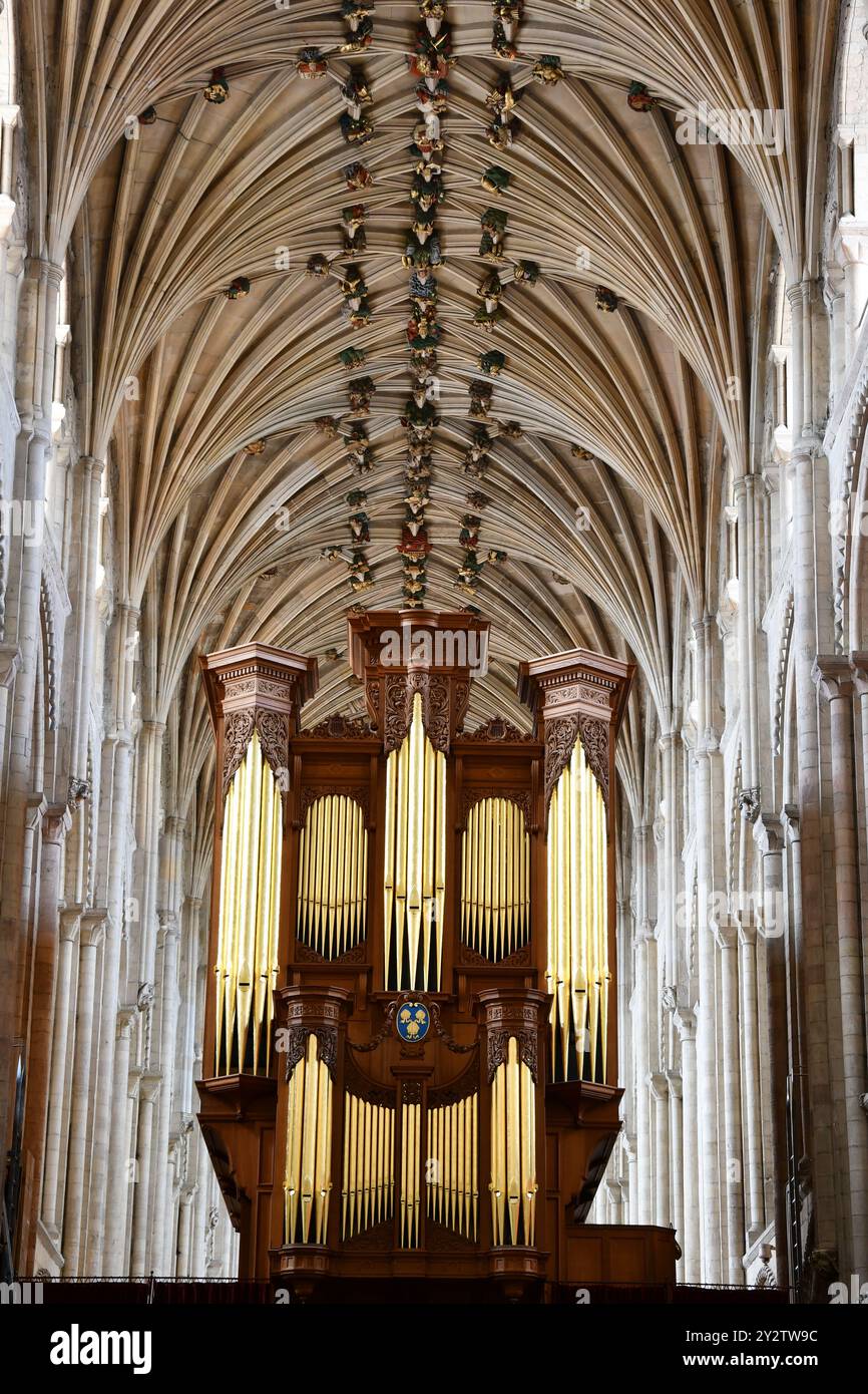 Organ in Norwich Cathedral, featuring many impressive colourful 14th ...
