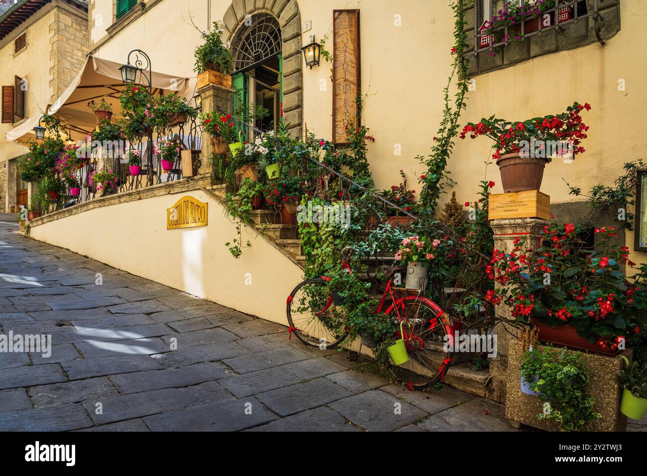 Charming Italian street scene with a bicycle covered in flowers and a ...