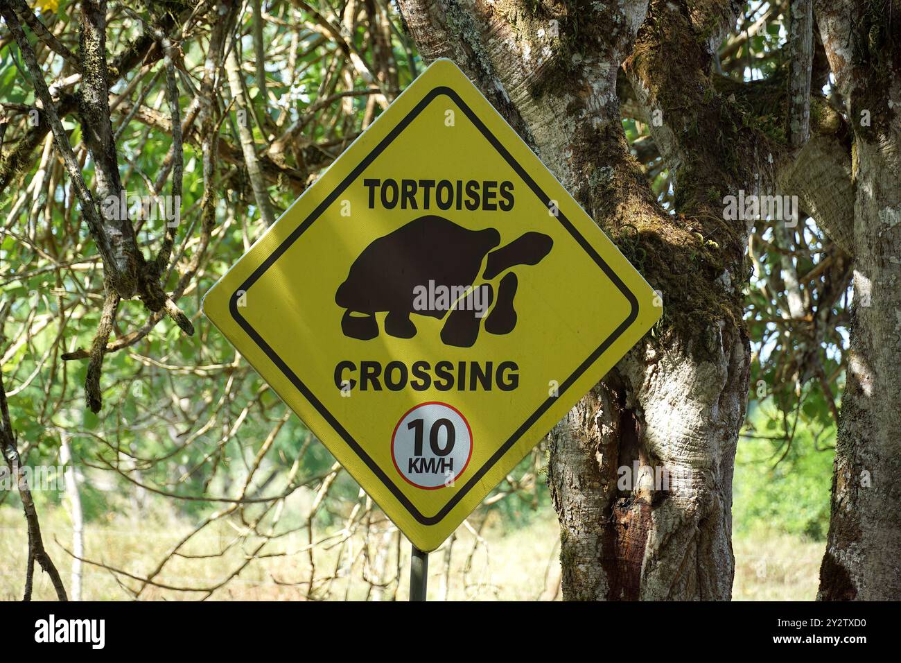 Tortoise crossing sign, El Chato ranch, Santa Cruz Island, Galápagos ...