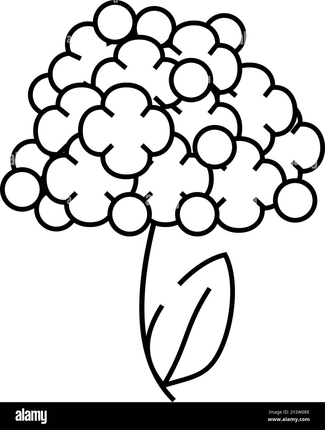 hydrangea flower line icon vector illustration Stock Vector Image & Art ...