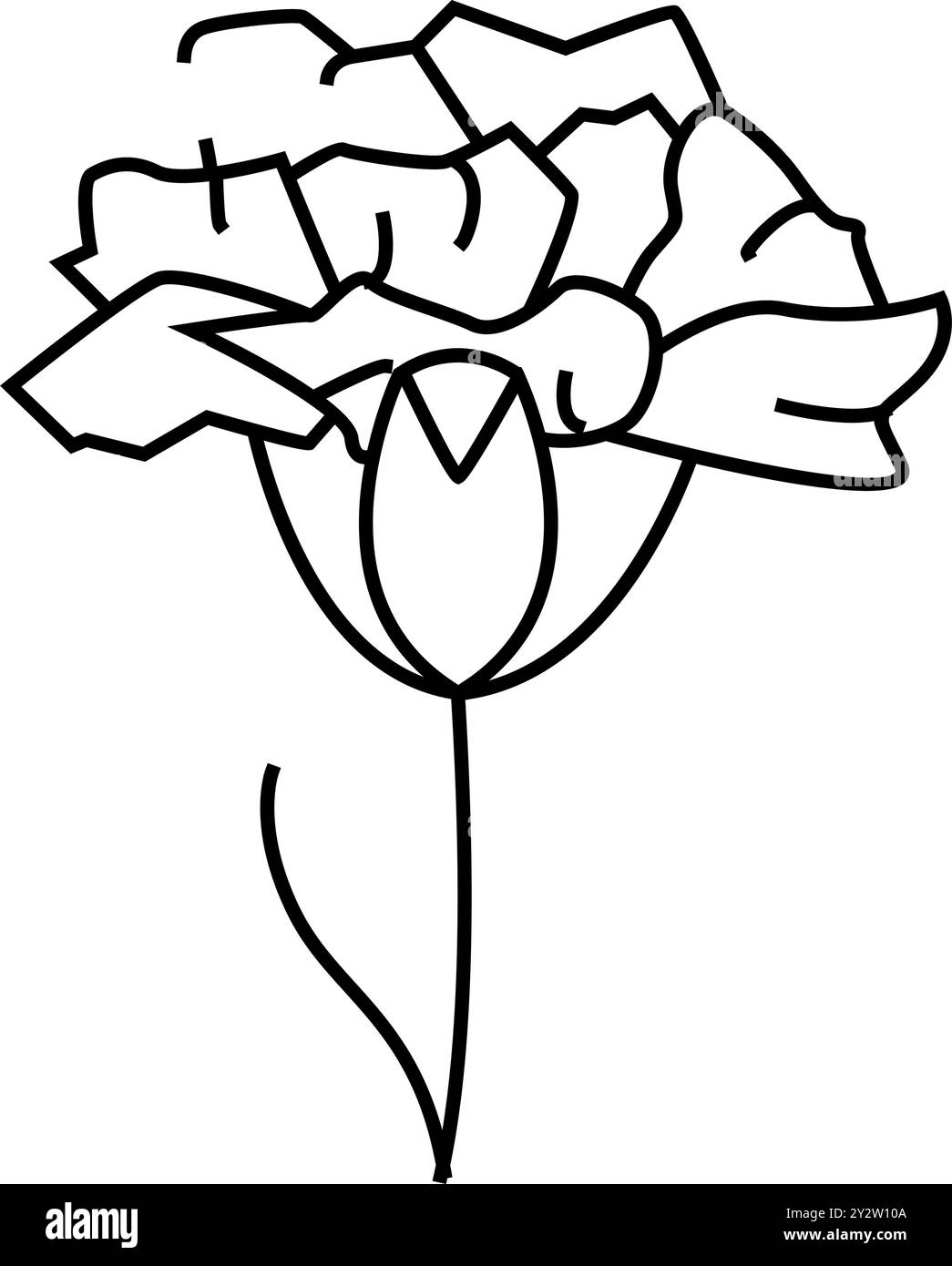 carnation flower line icon vector illustration Stock Vector Image & Art ...