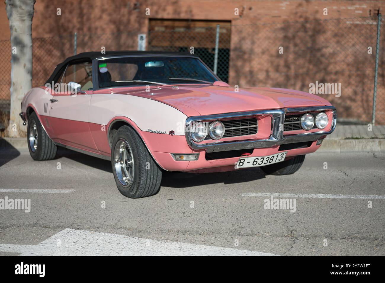 Front view of a classic American sports car. The two-tone pink first ...