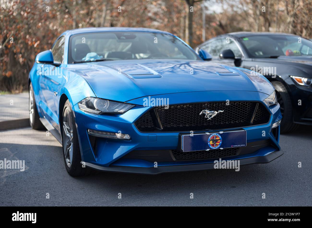 Front view of a modern American sports car, the sixth generation Ford ...