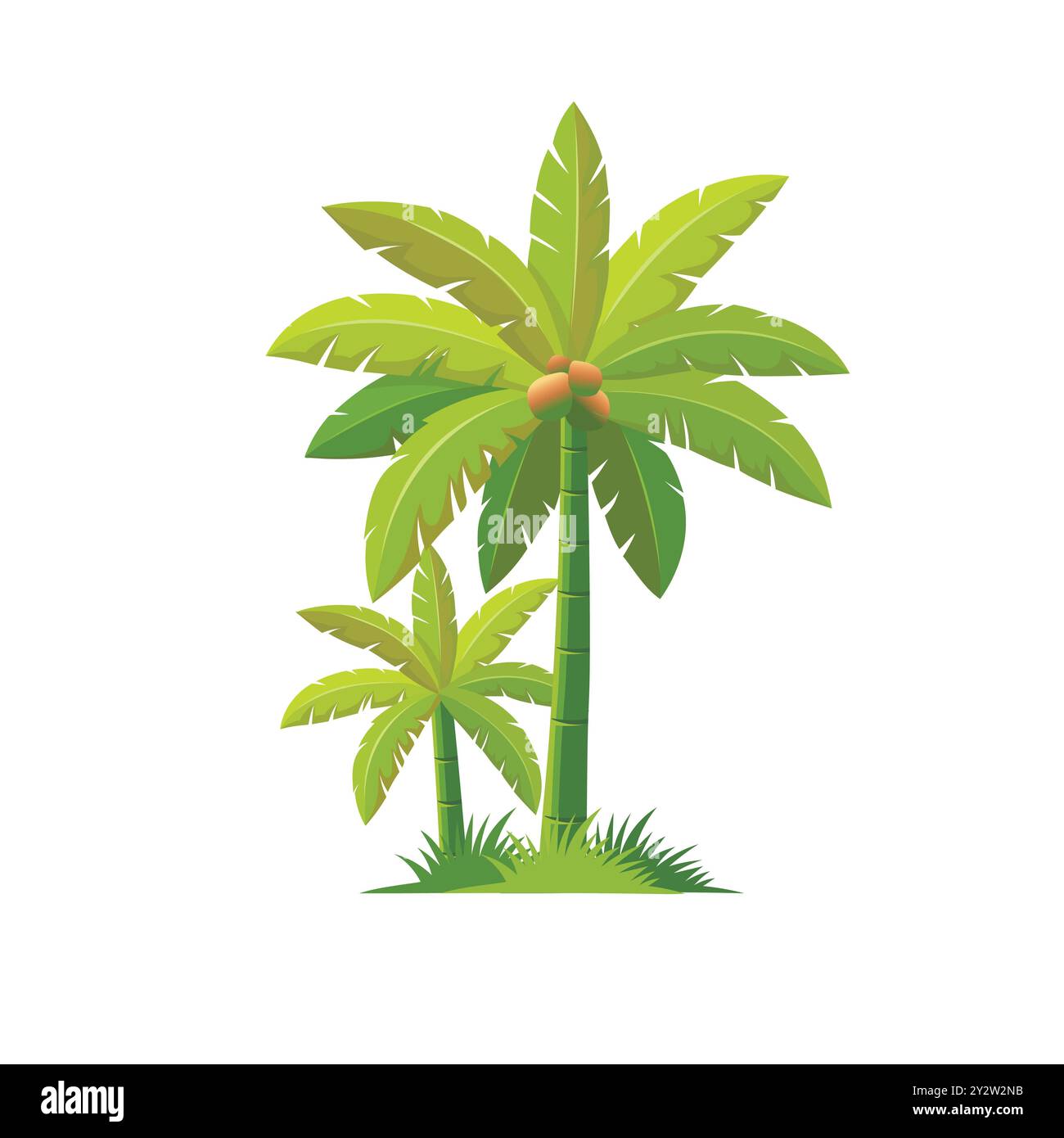 Coconut trees cartoon style, vector art and illustration. palm tree ...