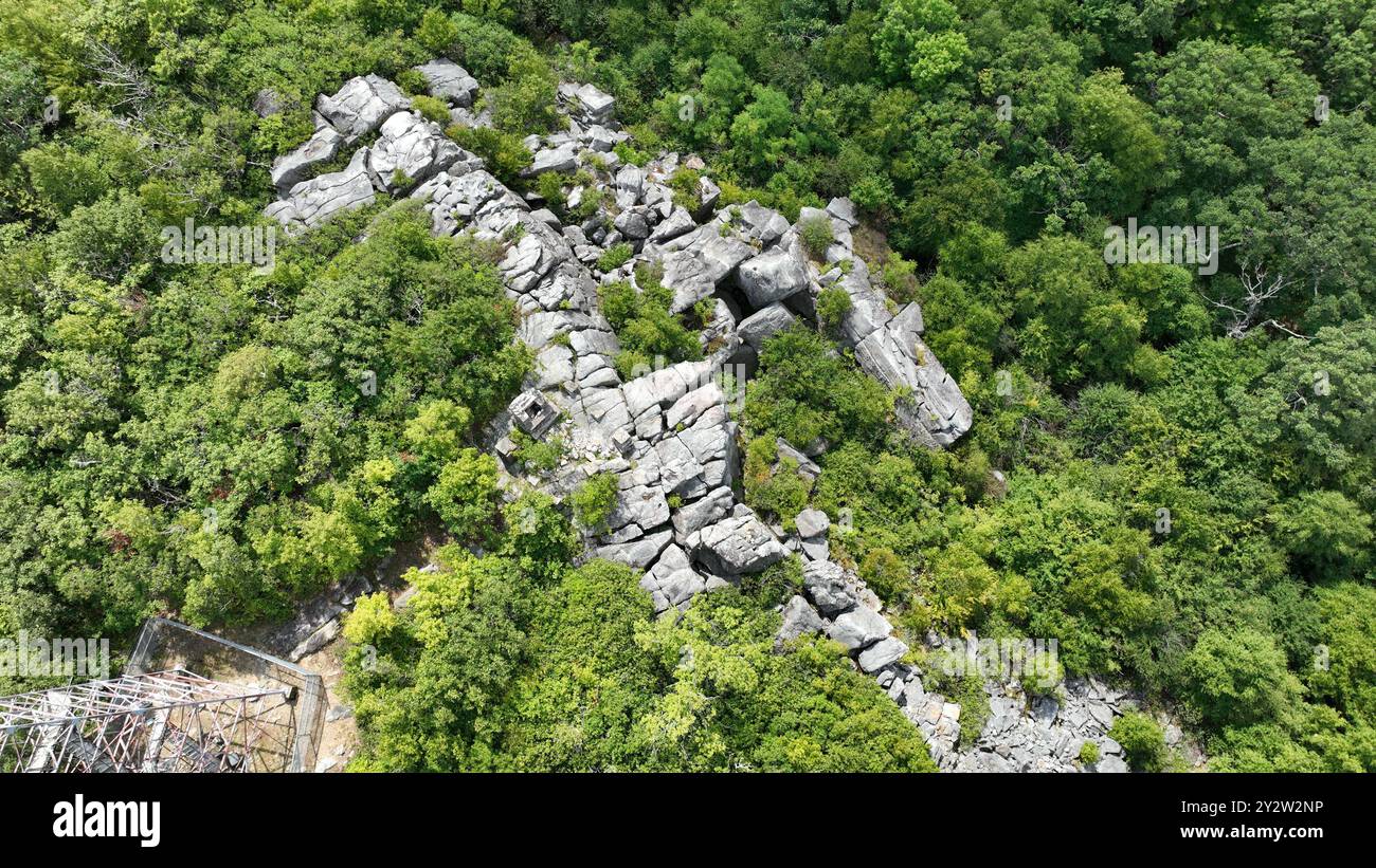 Aerial view of rocky terrain surrounded by dense green forest with a ...
