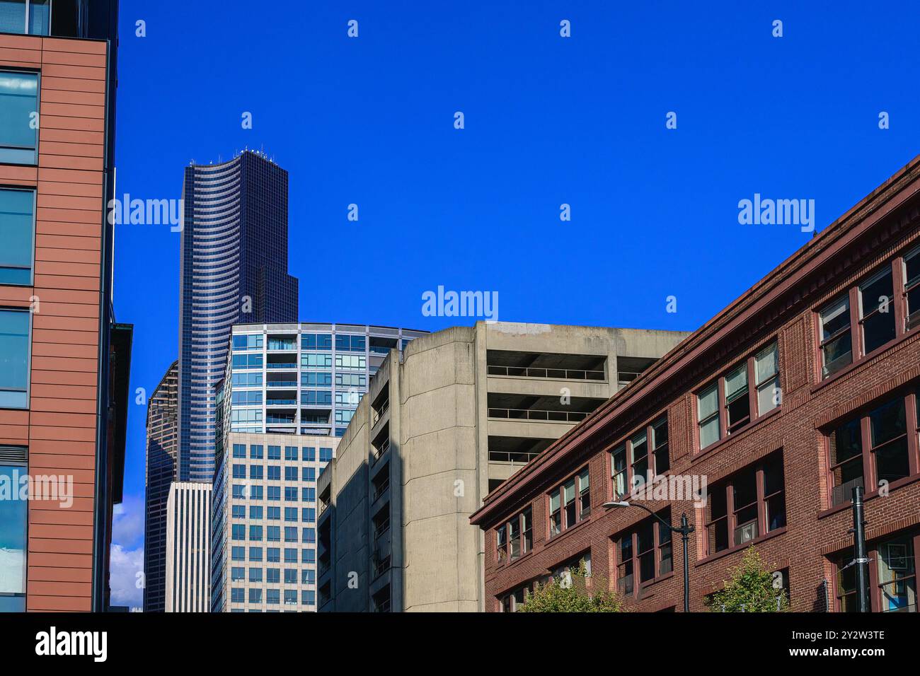 VIEW OF THE SEATTLE SKYLINE WITH A UPWARD ANGLE IN THE SCORE AREA OF ...