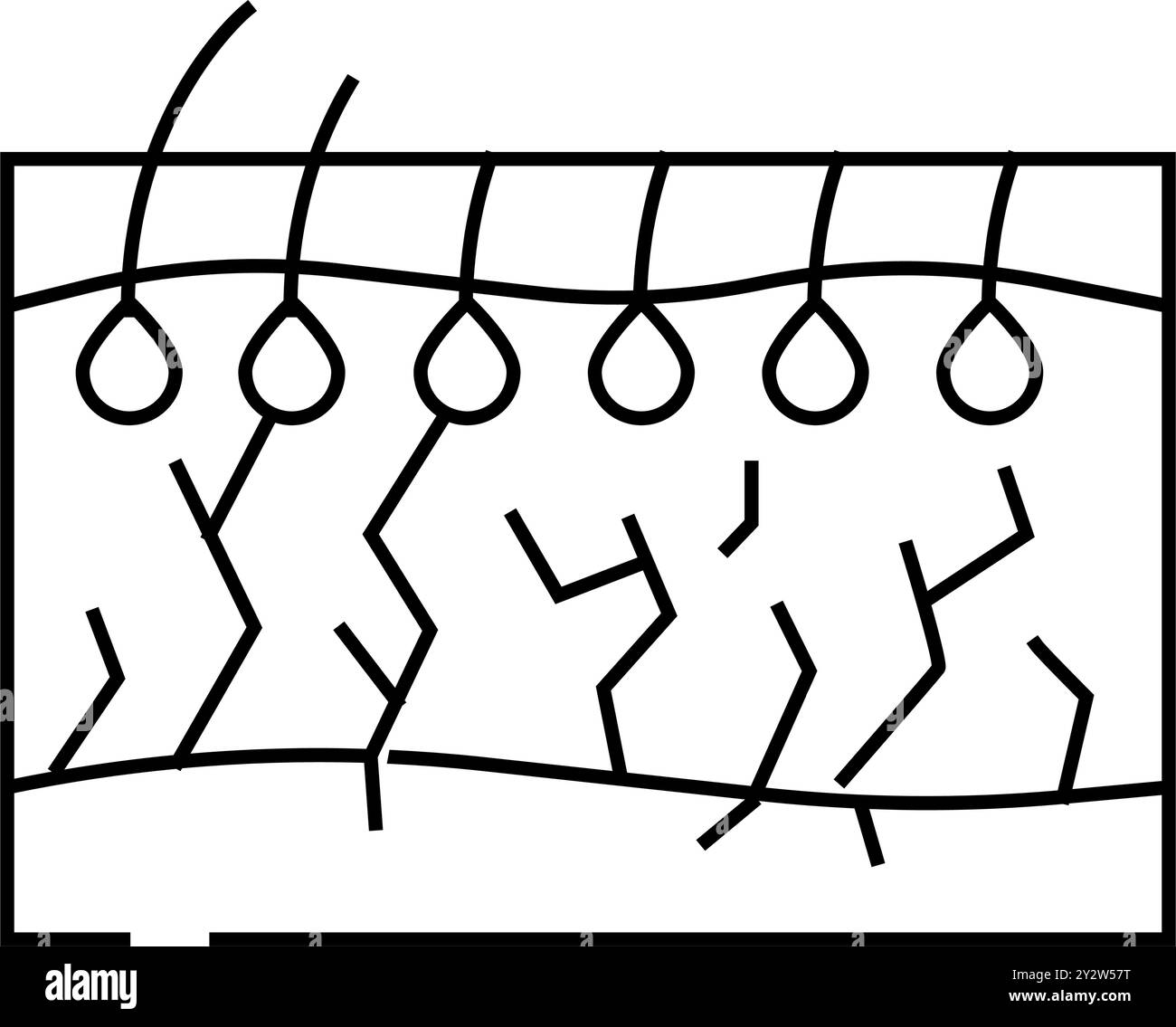 shave hair line icon vector illustration Stock Vector Image & Art - Alamy