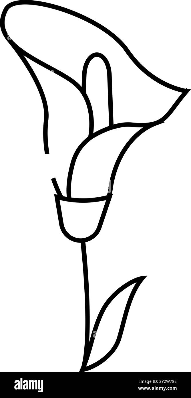 calla flower line icon vector illustration Stock Vector Image & Art - Alamy