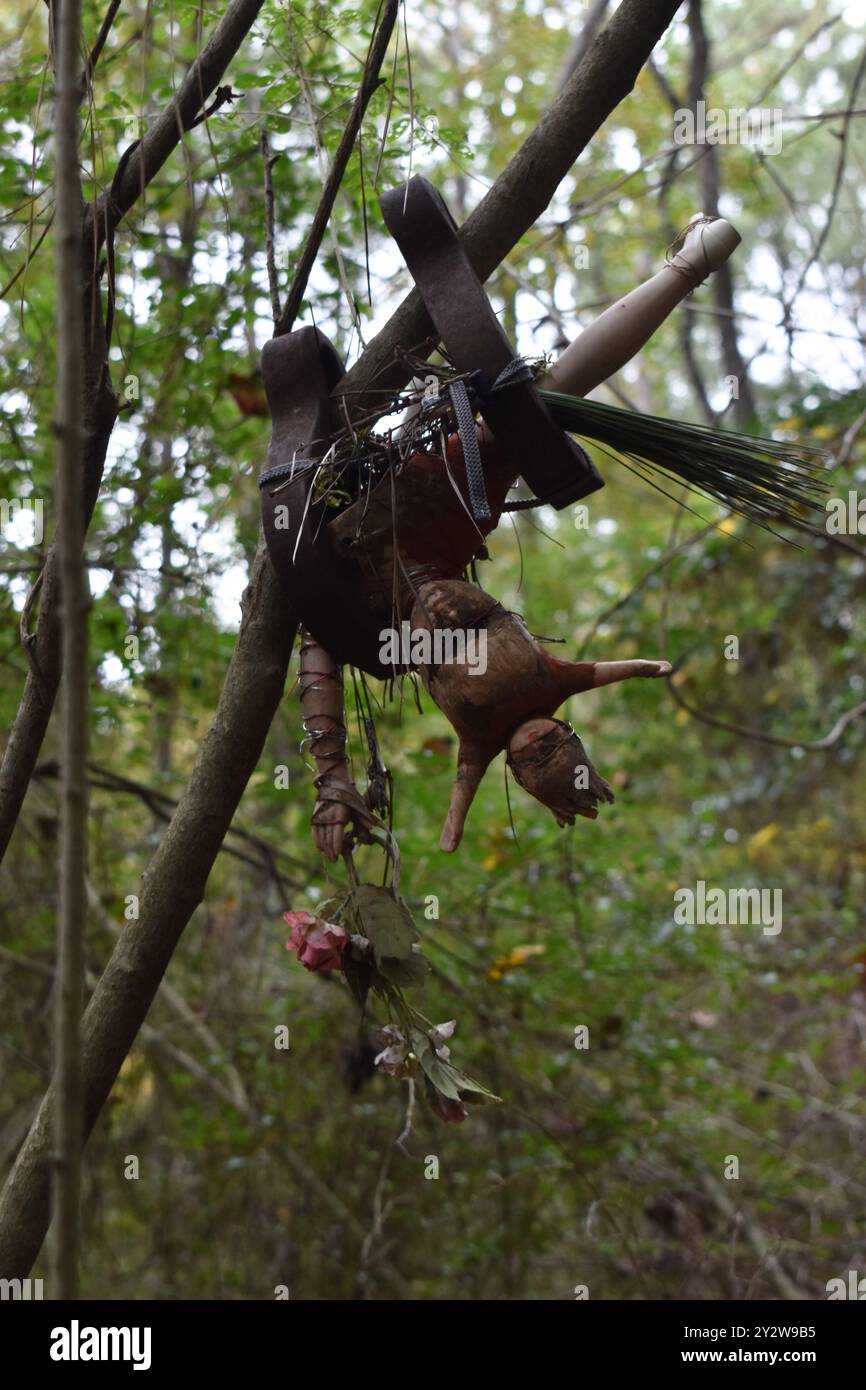 A reassembled doll hanging upside down from a tree at Doll's Head Trail ...