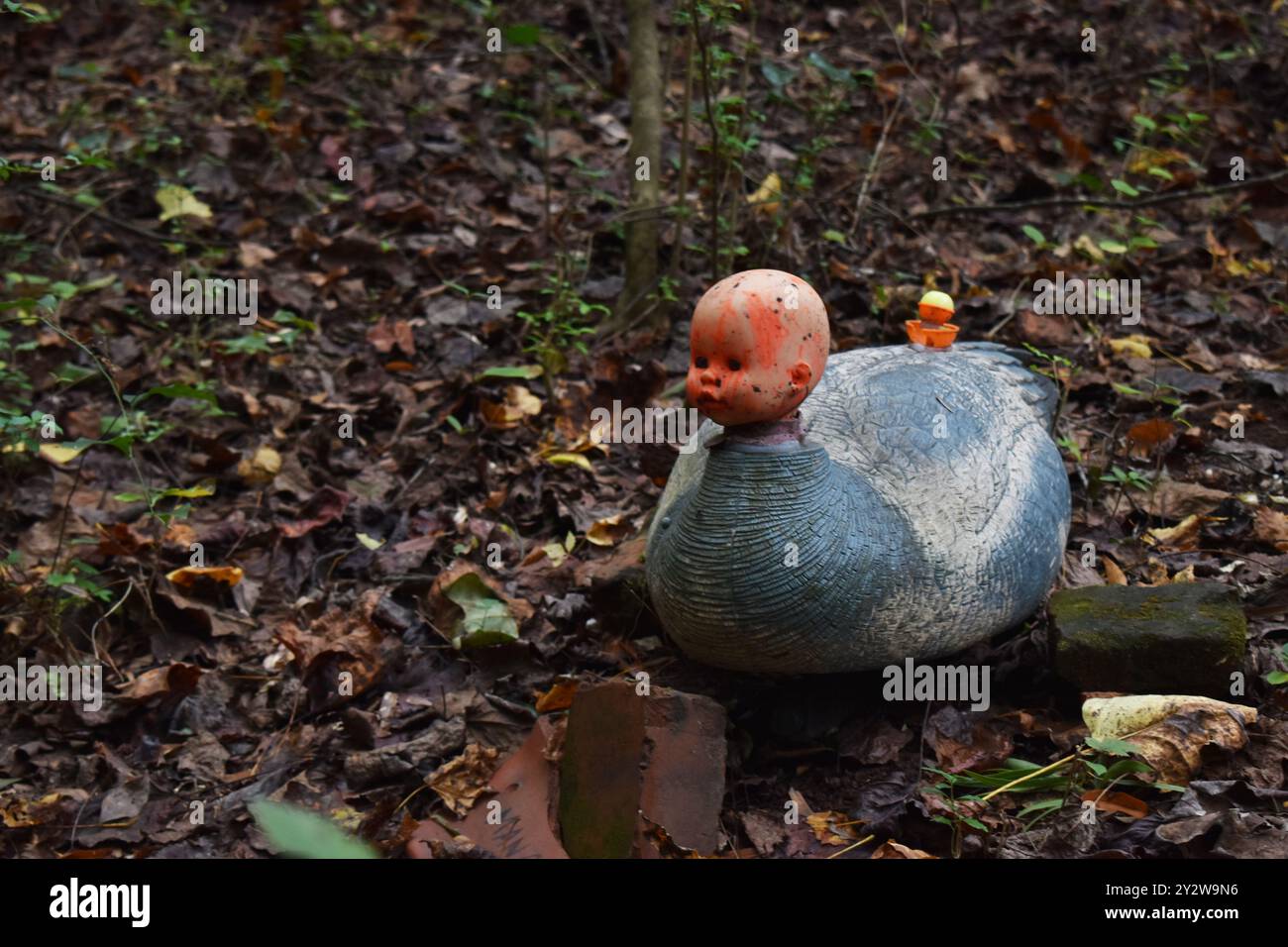 A goose body with a baby doll head glued on at Doll's Head Trail of ...