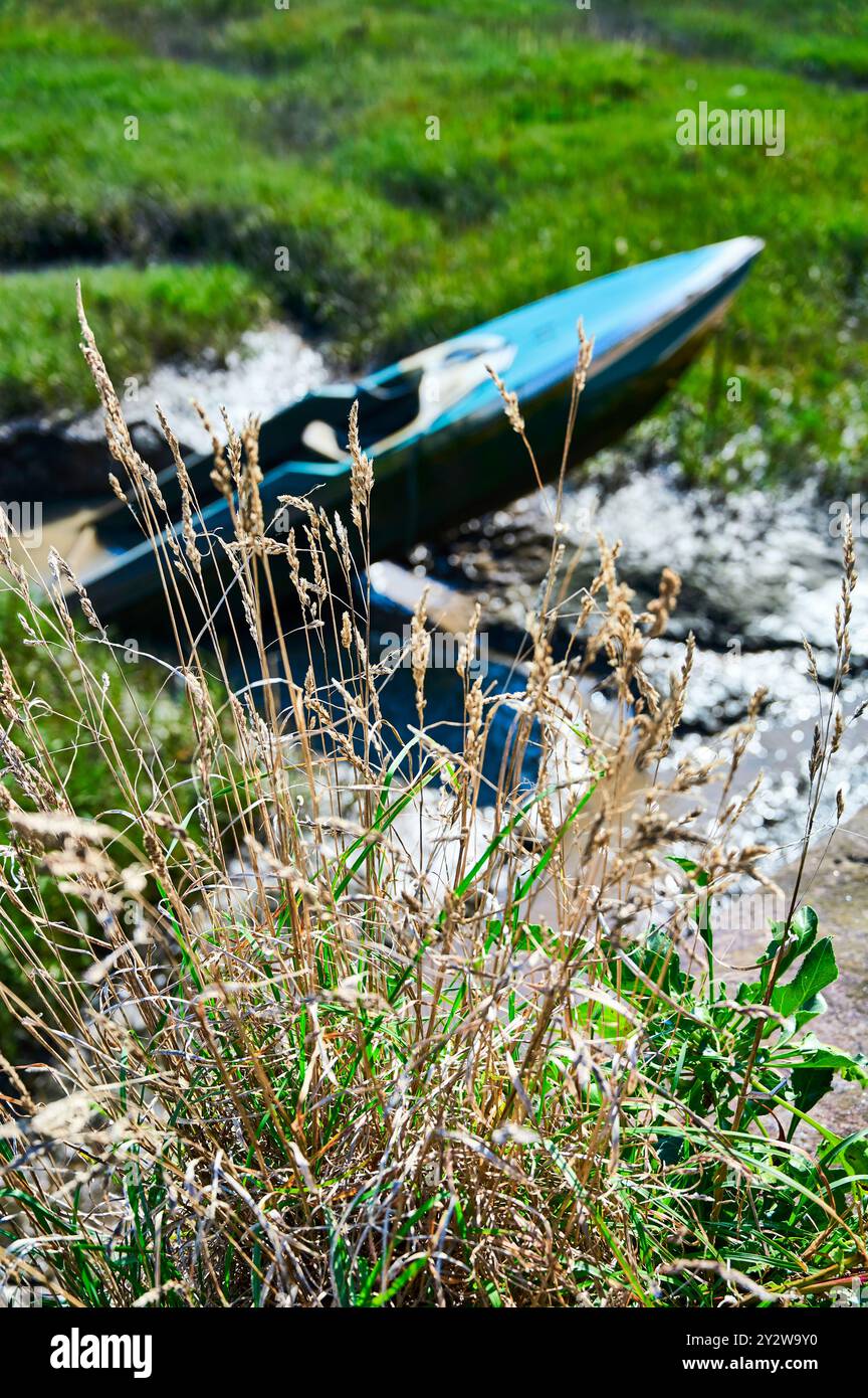 Abandoned speed boat left high and dry at low water Stock Photo - Alamy