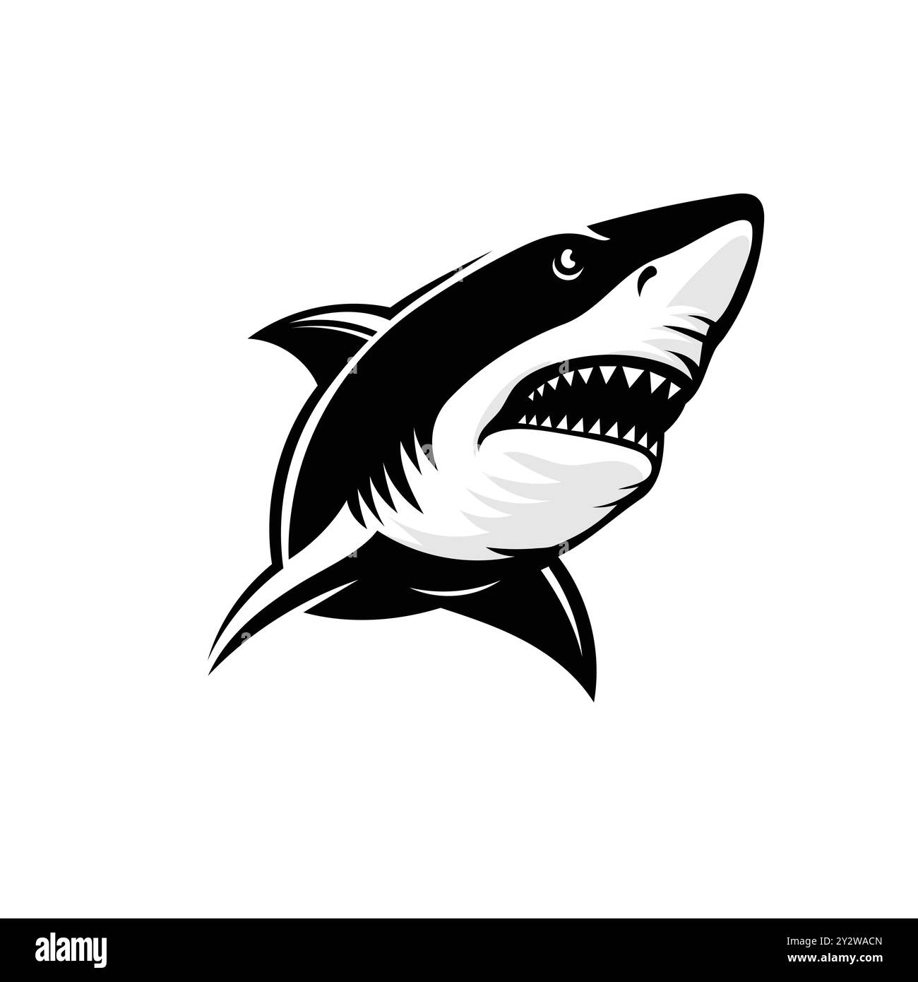 ferocious shark with fangs and open mouth vector illustration, black ...