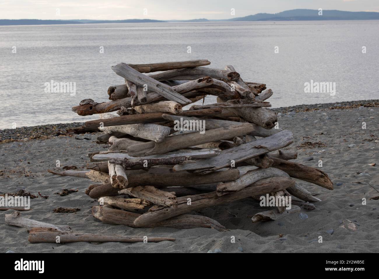 Beached Logs In a Stack Stock Photo - Alamy