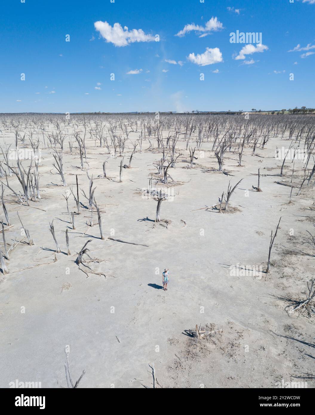 Aerial view of a person standing in a dry, barren landscape with dead ...