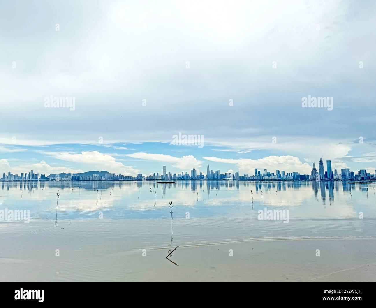 Deep bay wetlands hi-res stock photography and images - Alamy