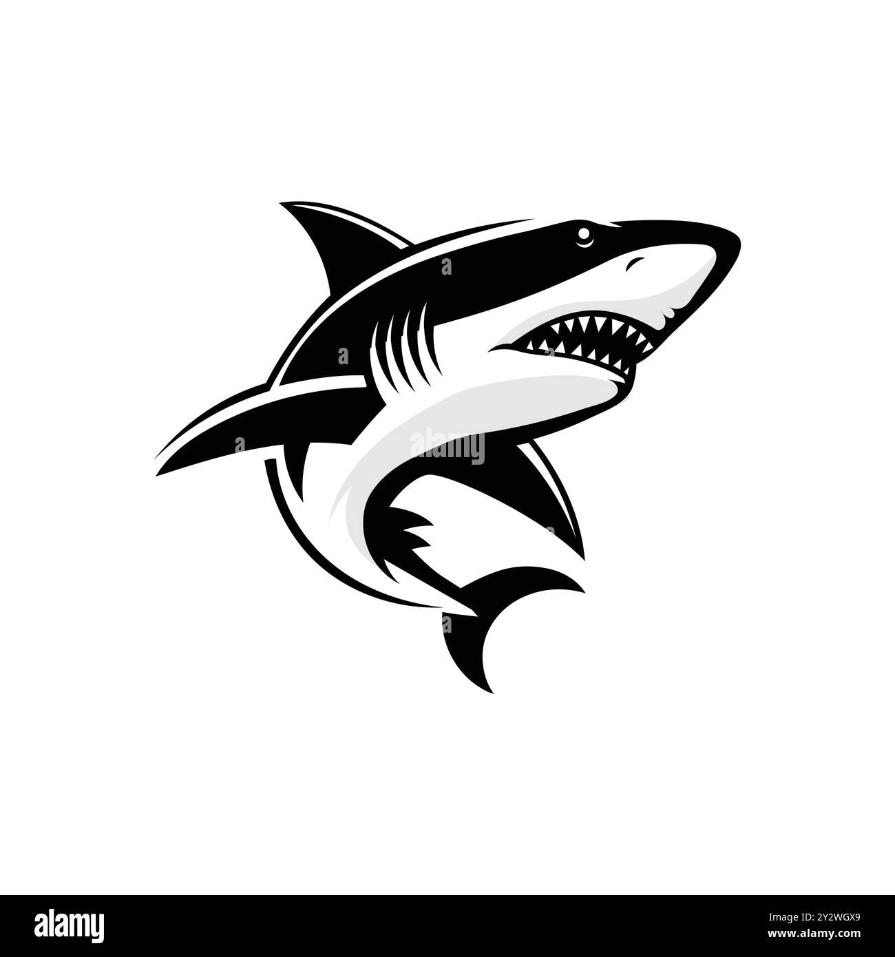ferocious shark with fangs and open mouth vector illustration, black ...