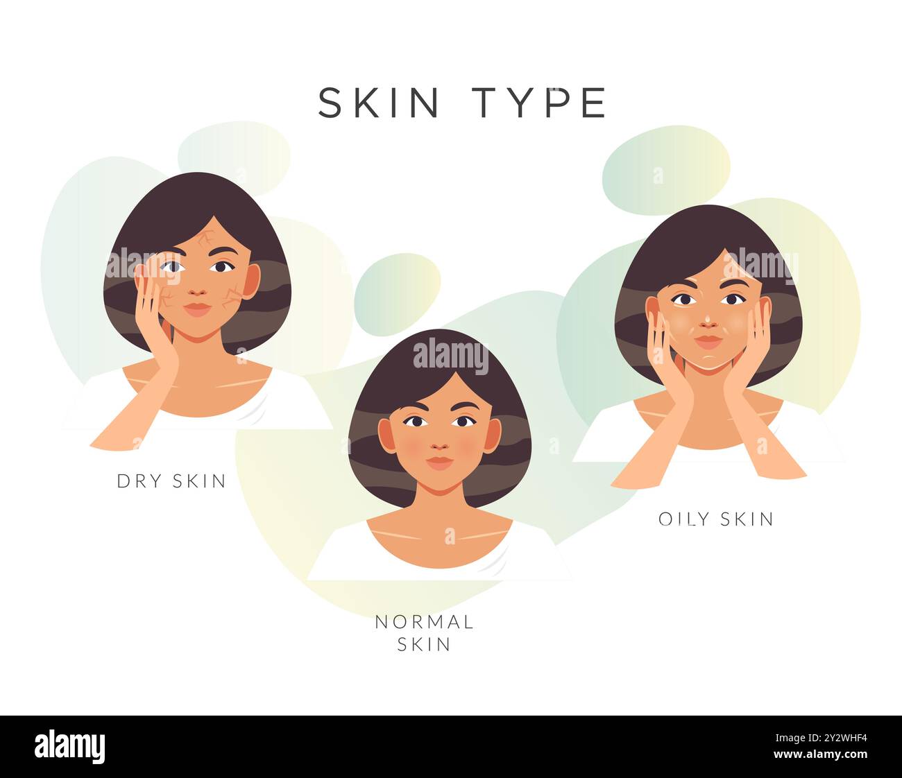 Understanding Skin Type - Dry Vs Oily - Normal Skin - Stock ... Understanding Skin Type - Dry Vs Oily - Normal Skin - Stock ...