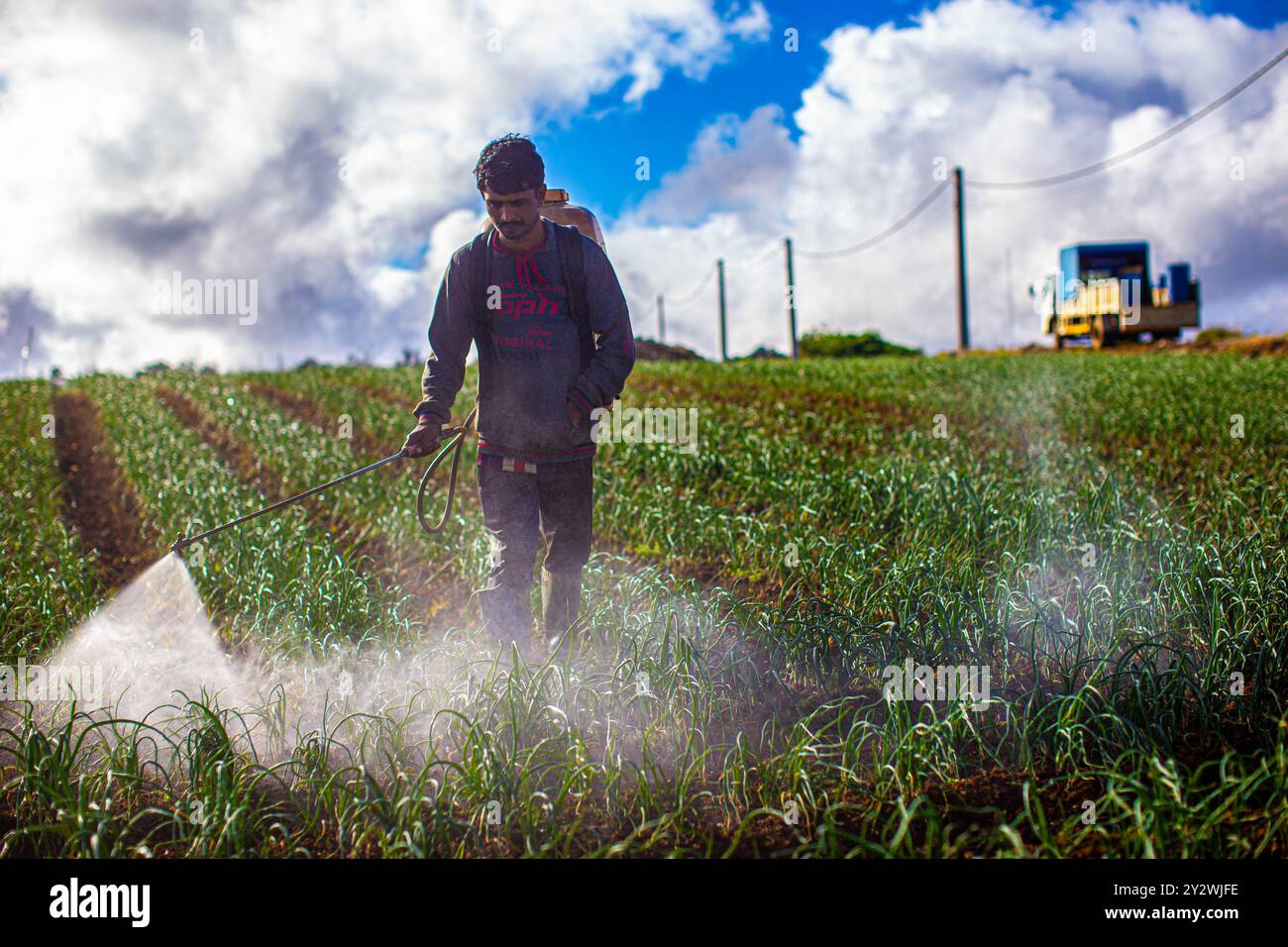 Les pesticides sont plus utilises dans les champs proches des hi-res ...