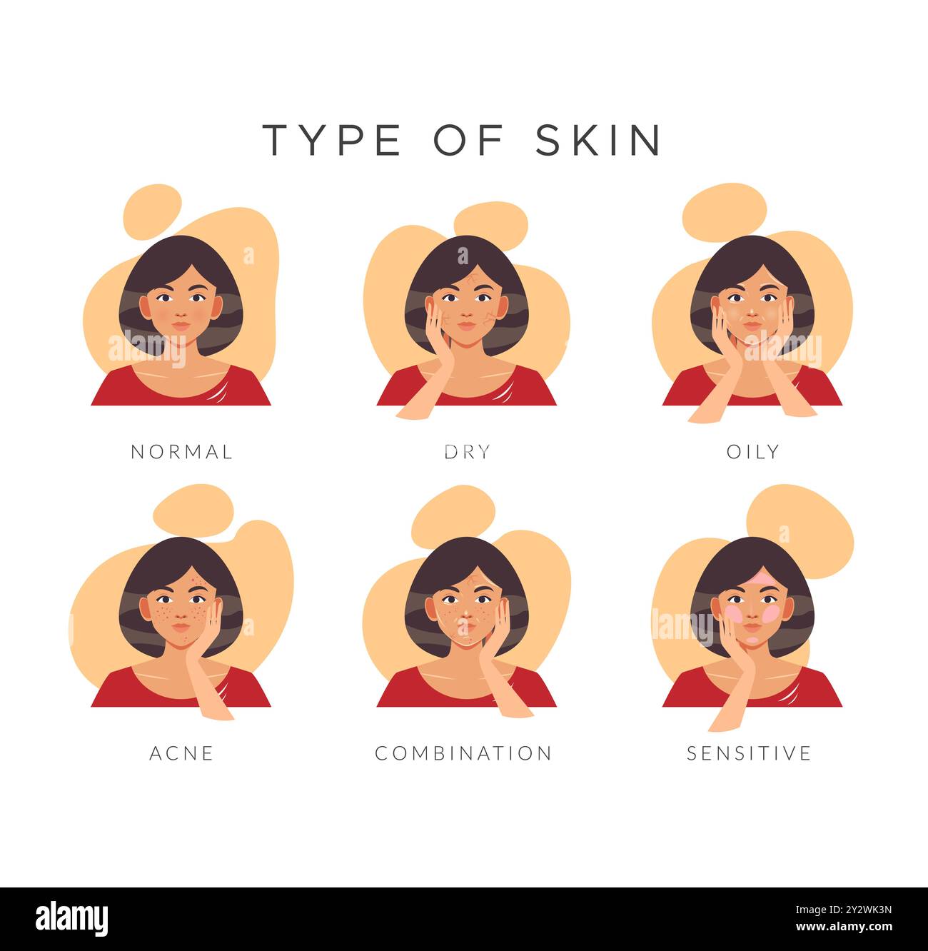 Understanding Skin Type - Dry Vs Oily - Normal Skin - Stock ... Understanding Skin Type - Dry Vs Oily - Normal Skin - Stock ...